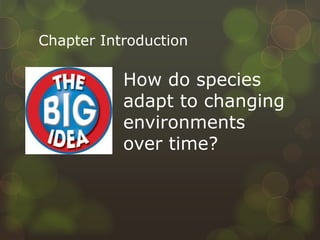 evolution_ppt.pptx