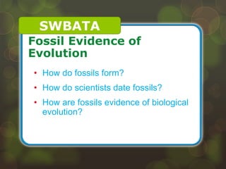 evolution_ppt.pptx
