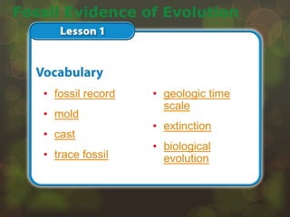 evolution_ppt.pptx