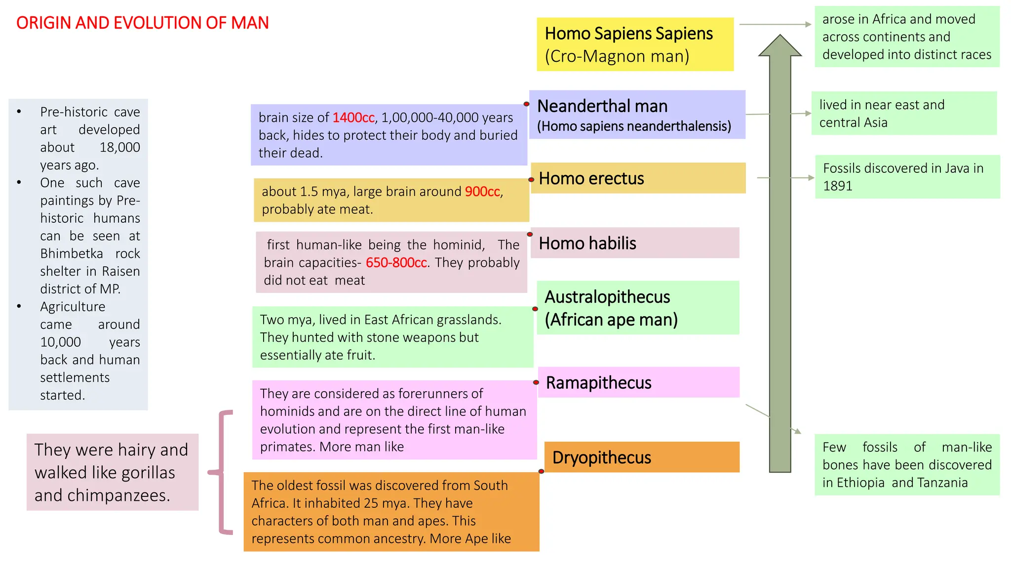 EVOLUTION Class XII Biology based on NCERT text book .pptx