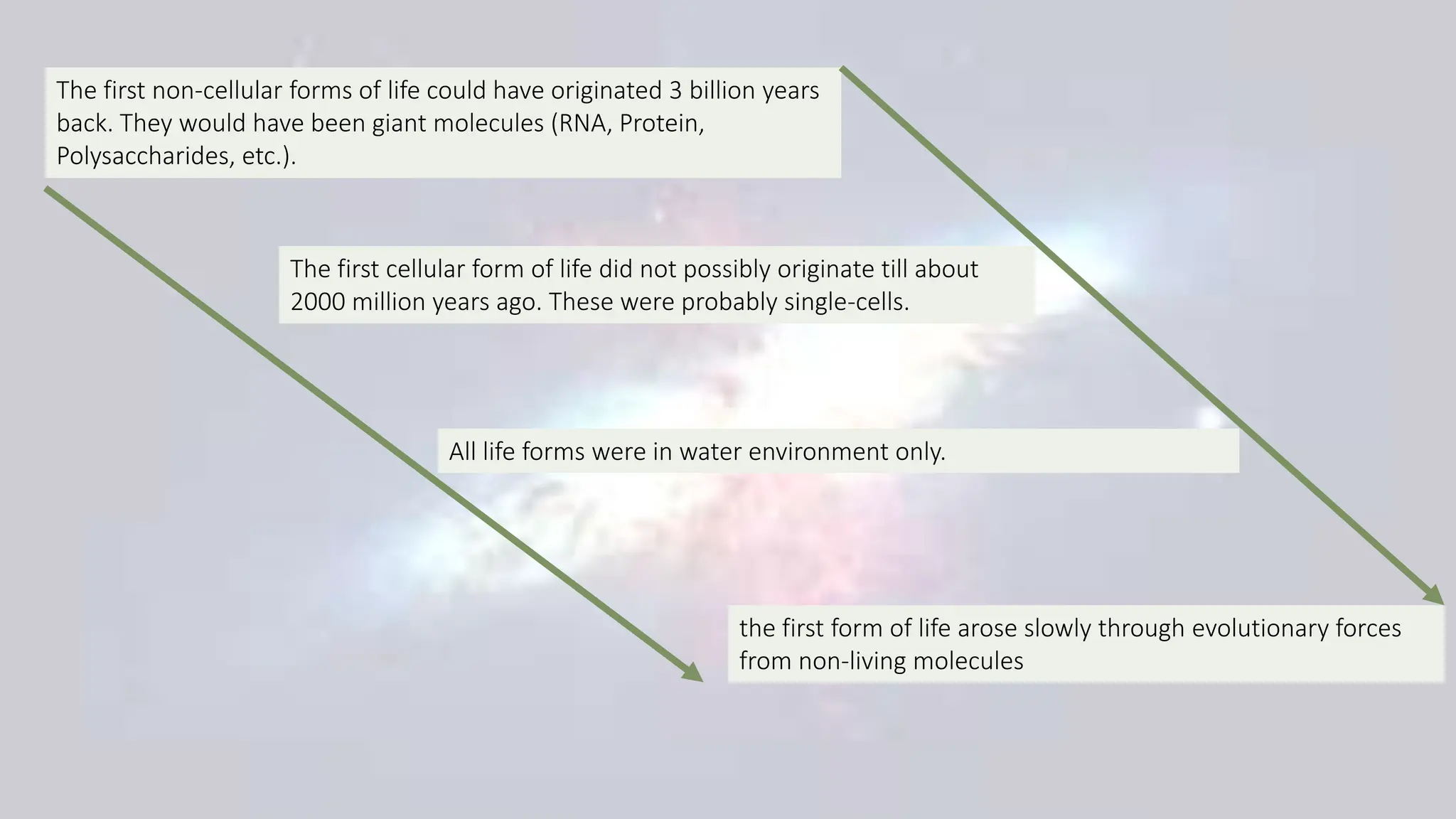 EVOLUTION Class XII Biology based on NCERT text book .pptx