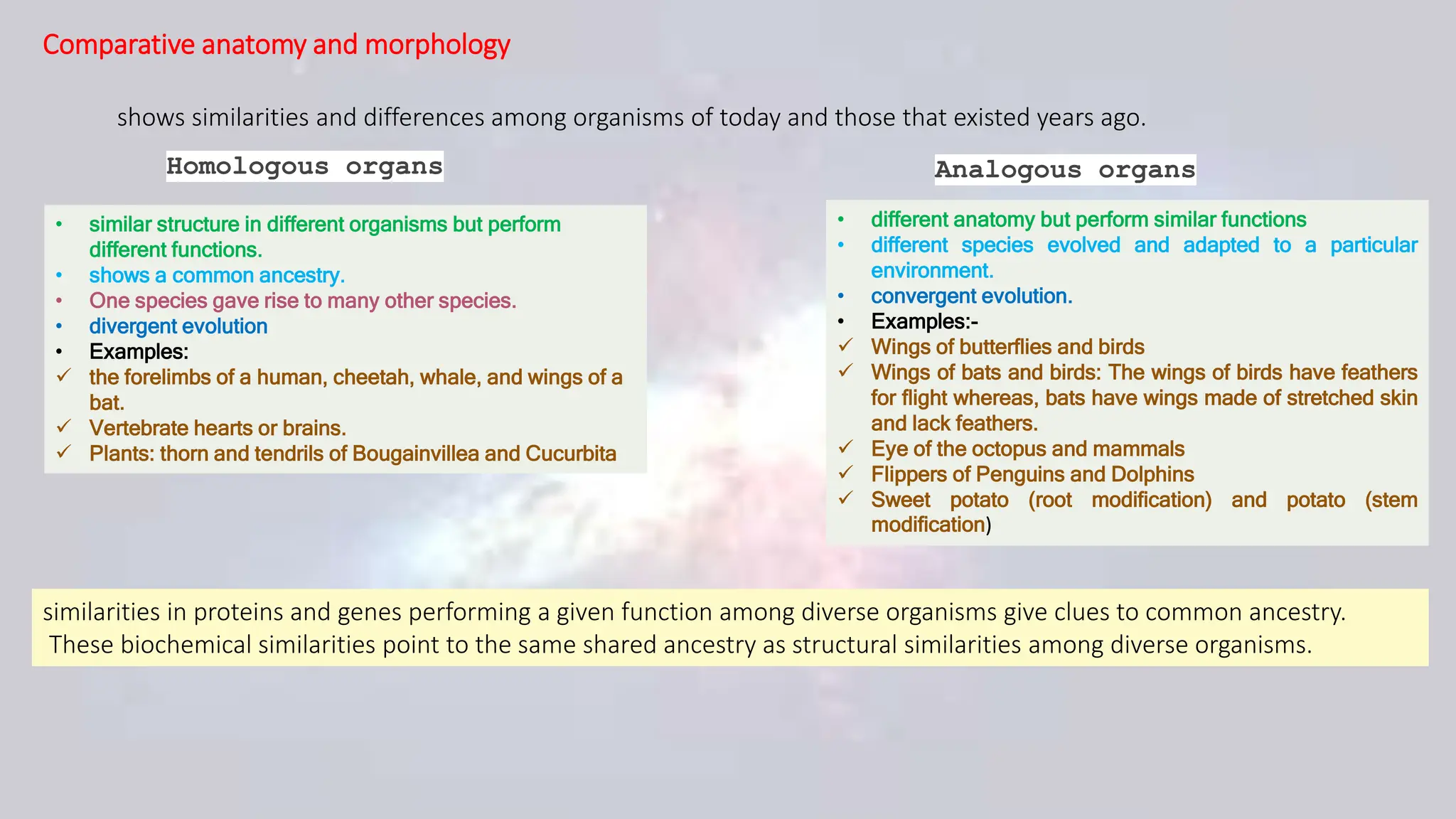 EVOLUTION Class XII Biology based on NCERT text book .pptx