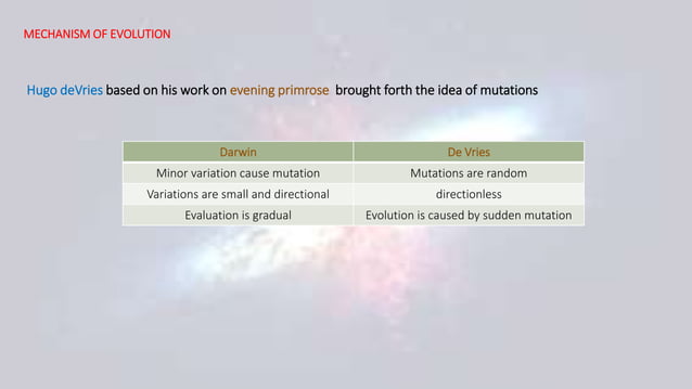 EVOLUTION Class XII Biology based on NCERT text book .pptx | Genetics ...