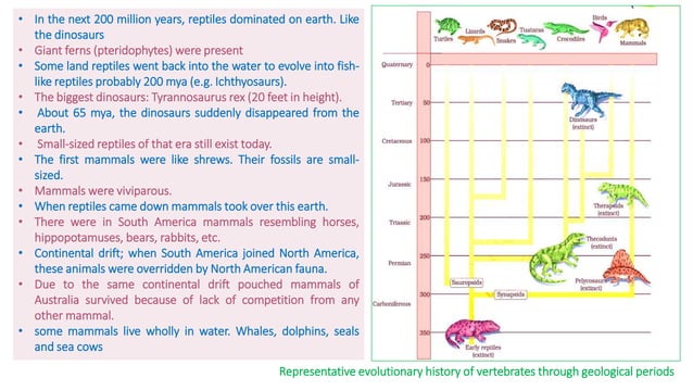 EVOLUTION Class XII Biology based on NCERT text book .pptx | Genetics ...