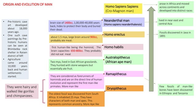 EVOLUTION Class XII Biology based on NCERT text book .pptx | Genetics ...