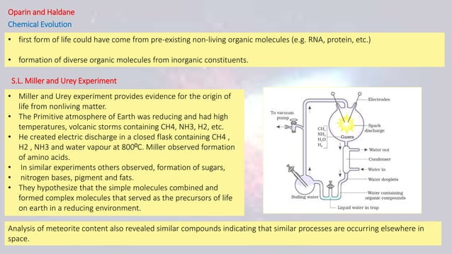 EVOLUTION Class XII Biology based on NCERT text book .pptx | Genetics ...