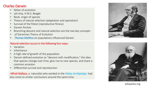EVOLUTION Class XII Biology based on NCERT text book .pptx | Genetics ...