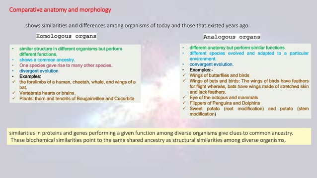 EVOLUTION Class XII Biology based on NCERT text book .pptx | Genetics ...