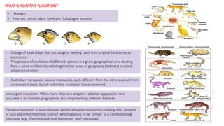 EVOLUTION Class XII Biology based on NCERT text book .pptx