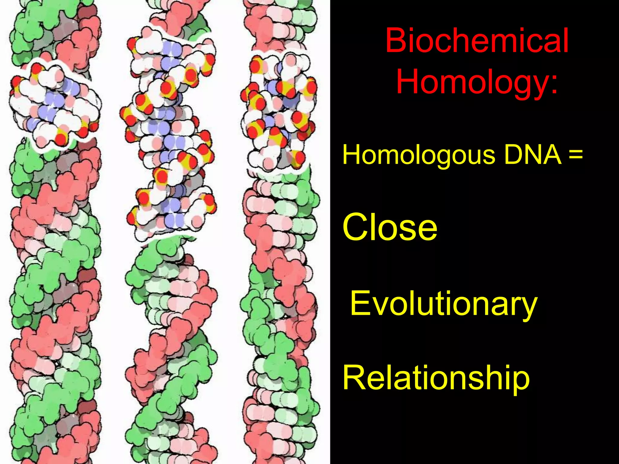 Evolution Presentation: Homology | PPTX