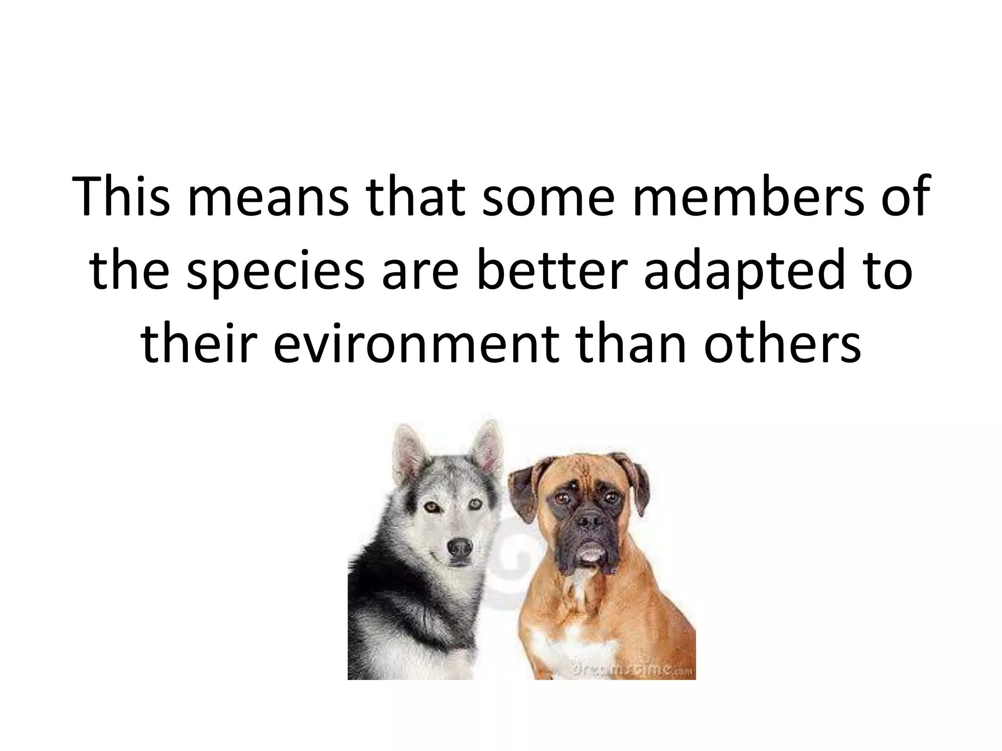 Evolution made easy | PPTX