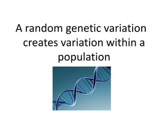 Evolution made easy | PPT