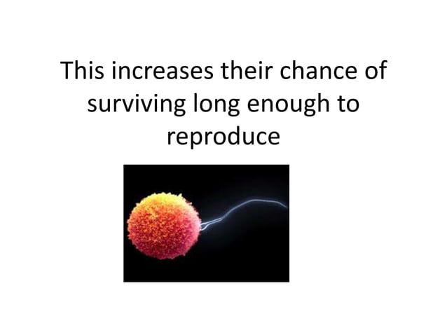 Evolution made easy | PPTX