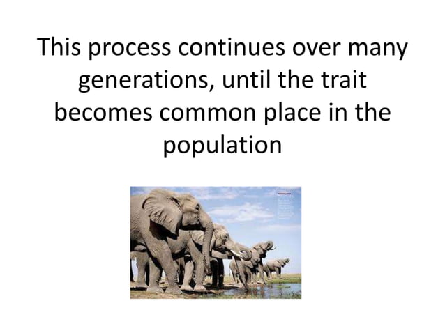 Evolution made easy | PPT