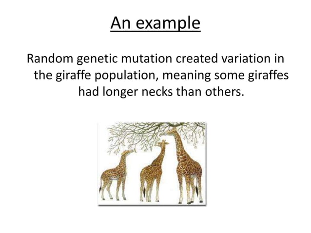 Evolution made easy | PPTX