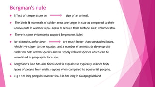 trands and rates of evolution | PPTX