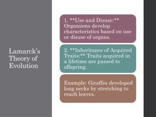 Evolution and its evidences power point presentation | PPT