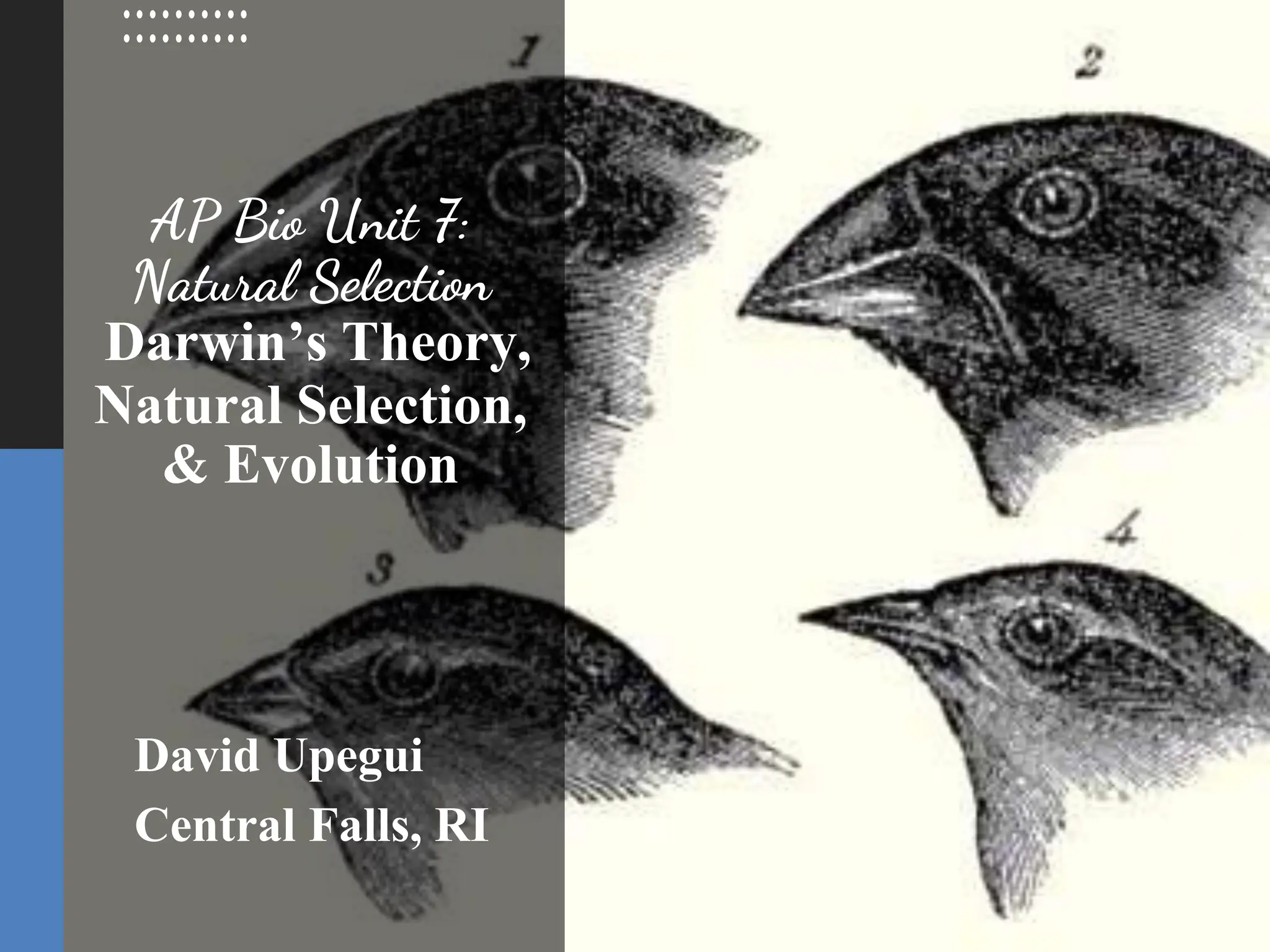 Evolution and genetics review presentation AP 2020 | PPTX