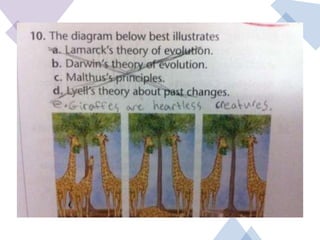 Evolution and genetics review presentation AP 2020 | PPTX