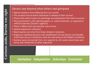 Evolution and genetics review presentation AP 2020 | PPTX