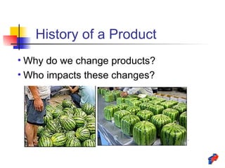 Evolution Product Design | PPT