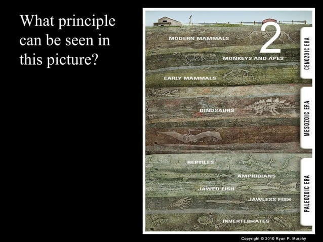 Evolution, Natural Selection PowerPoint Quiz, Game, Biology and Darwin ...