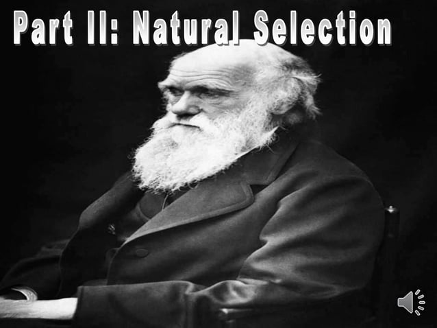 EVOLUTION THE HISTORY | PPT