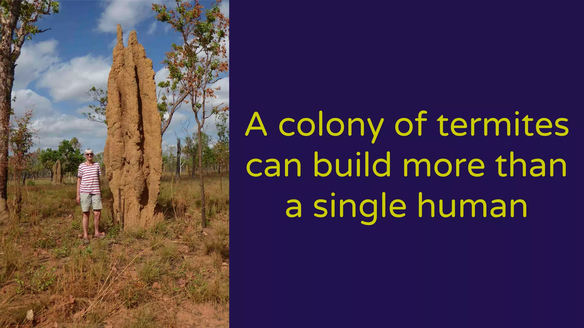 Evolution strategies as brain of autonomous agents | PDF