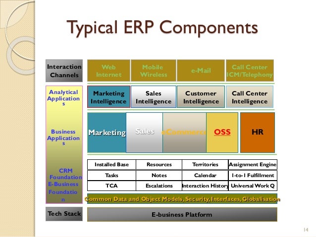 Evolution & structure of erp