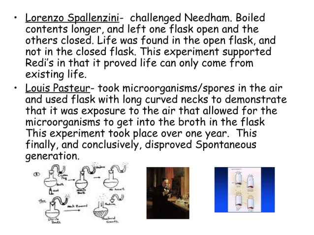 Evolution theories | PPT | Geology | Science