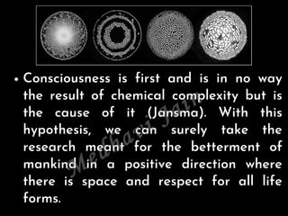 Theory of Evolution Through The Time Cycle in Jainism.pdf