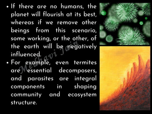 Theory of Evolution Through The Time Cycle in Jainism.pdf | Biological ...