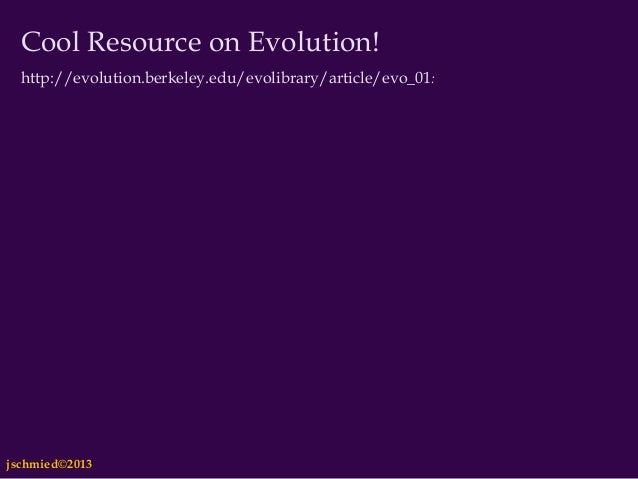 Evolution unit notes | PPTX | Geology | Science