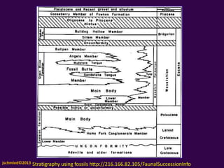 Evolution unit notes | PPT