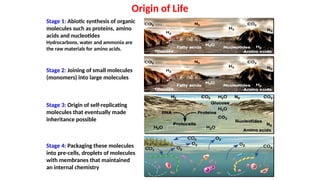 origin & evolution of life veena. Theories of evolution,evidences of ...