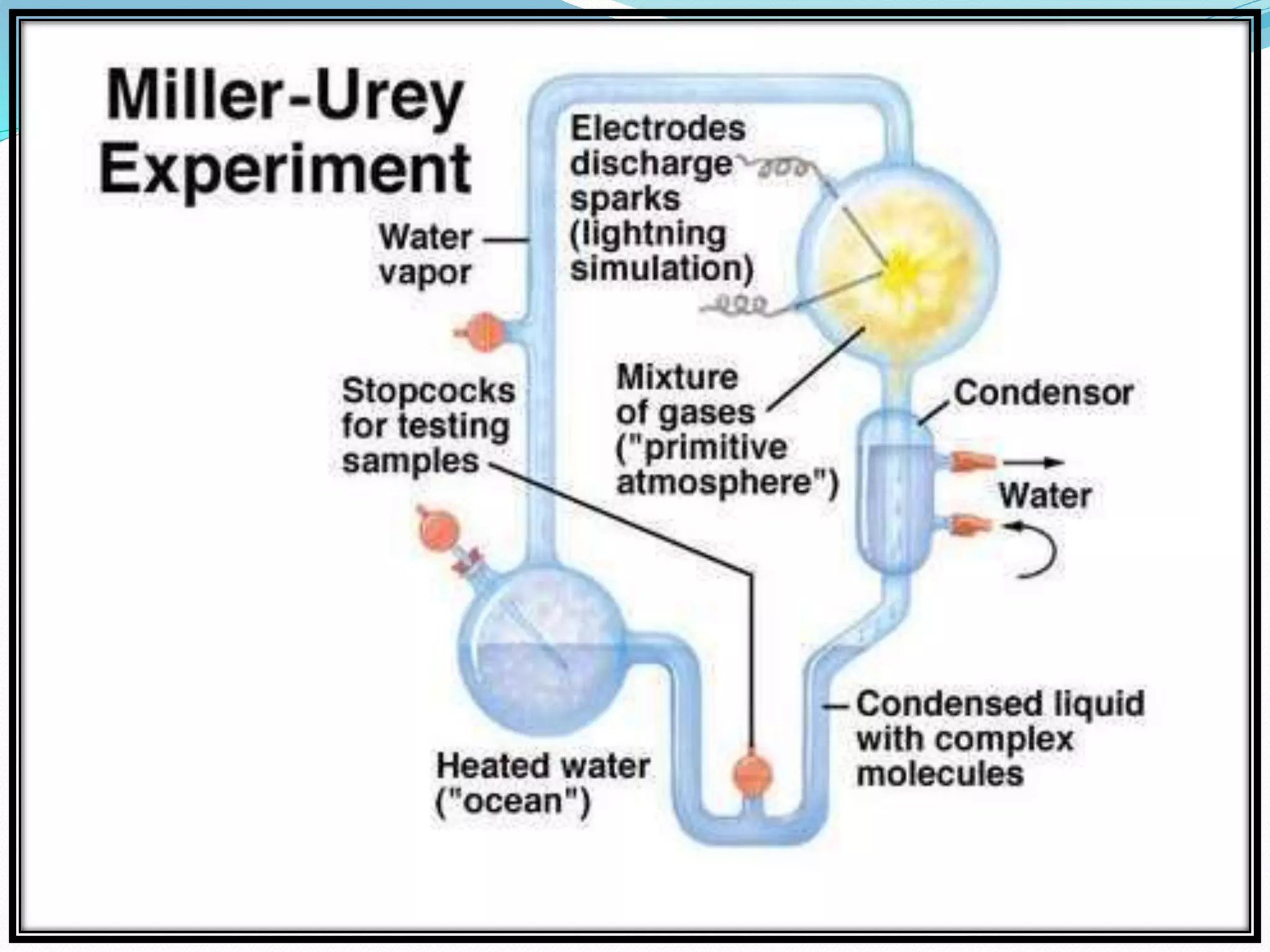 Evolution xii | PPTX