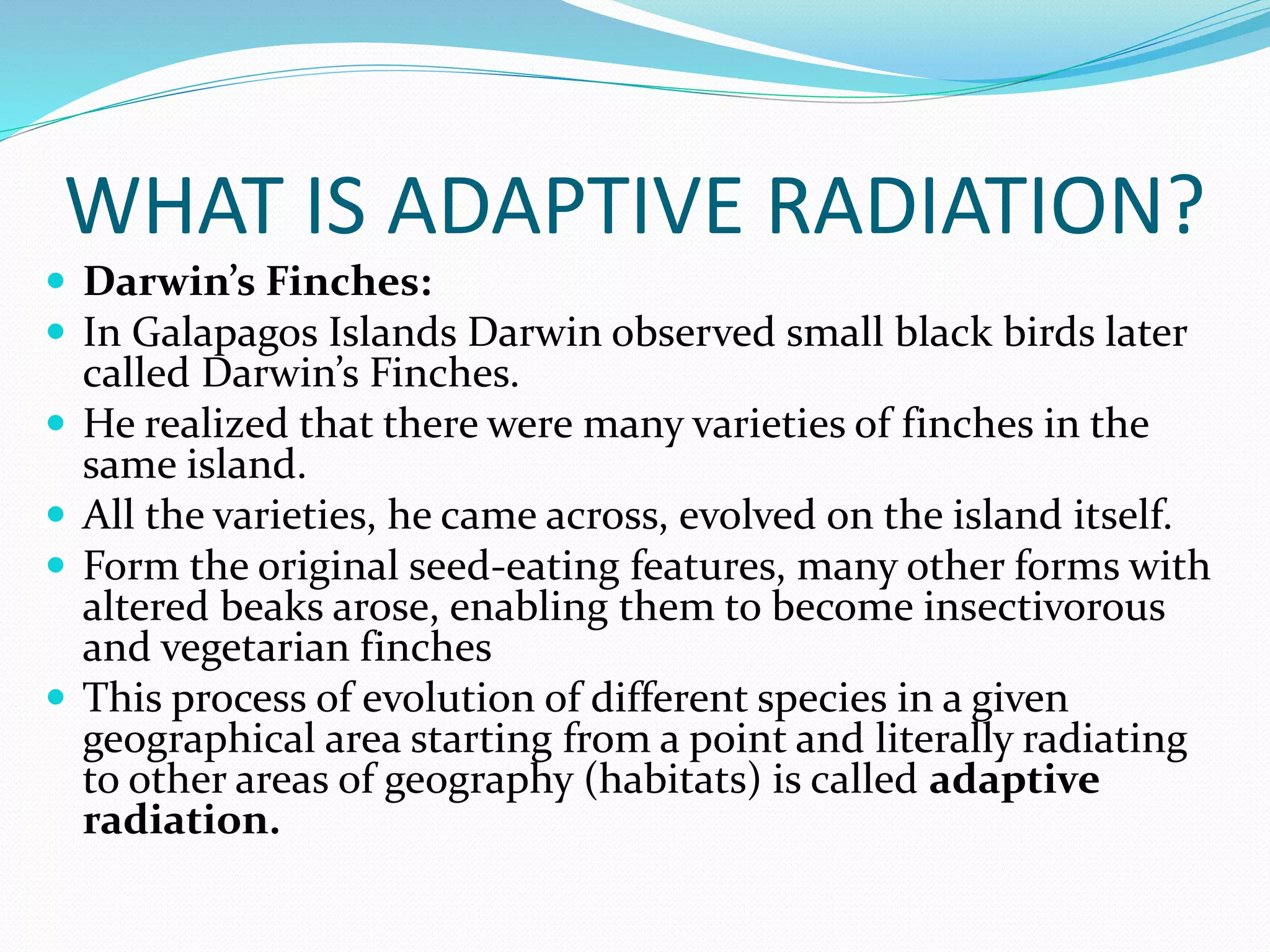 Evolution xii | PPTX