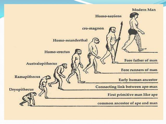 Evolution xii | PPTX
