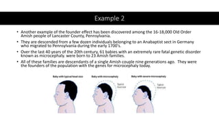 Evoluton in small populatin | PPT
