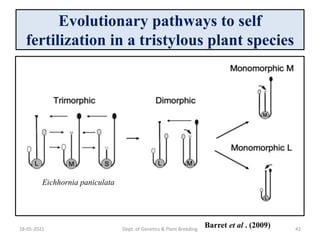 Evoluton of plant sexual diversity | PPTX