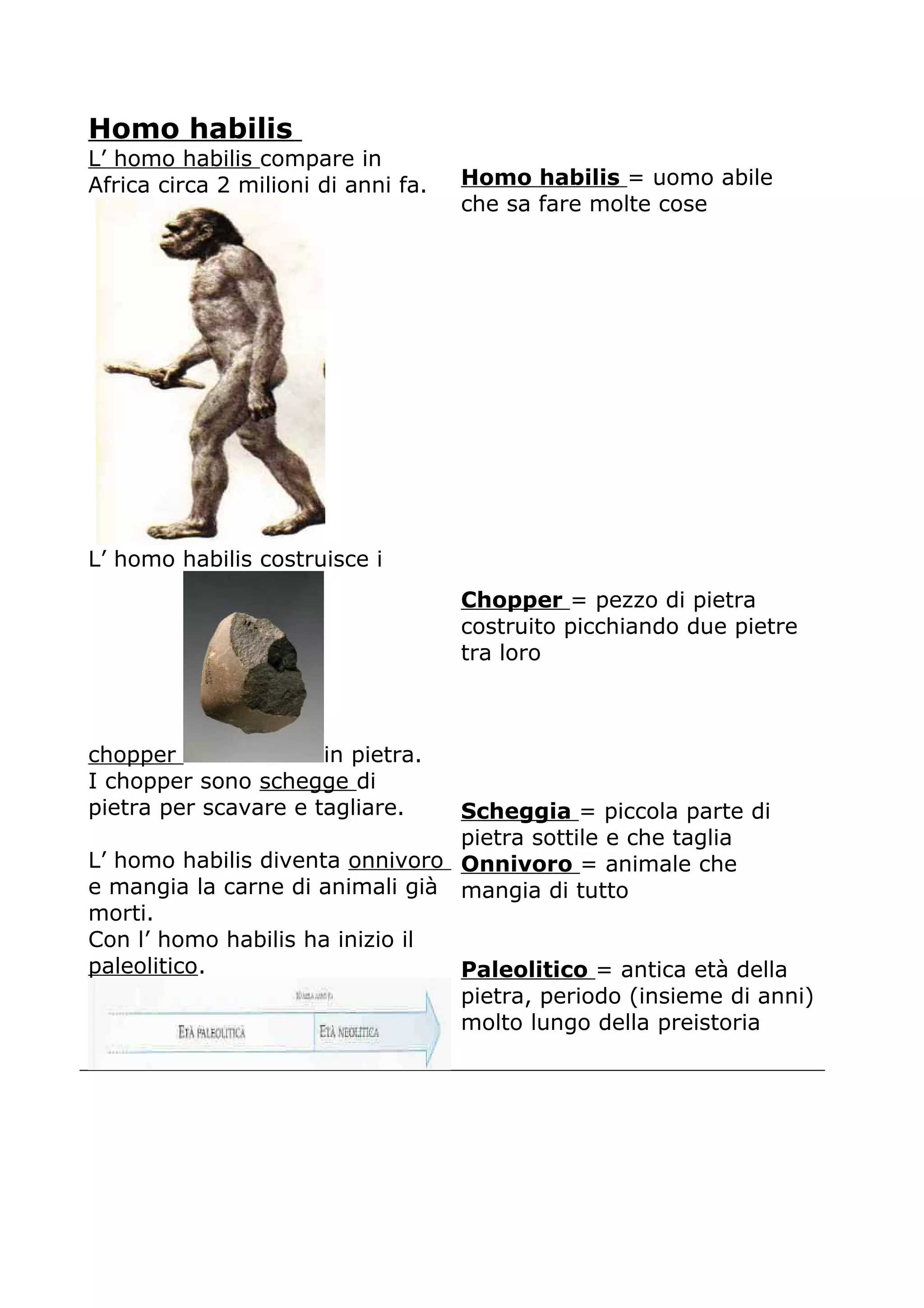 Evoluzione Delluomo | DOC