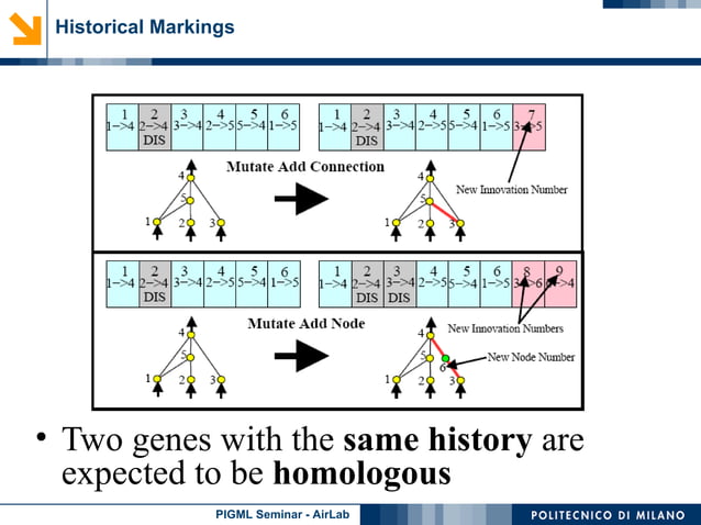 Evolving Neural Networks Through Augmenting Topologies | PPT | Computer Networking | Computing