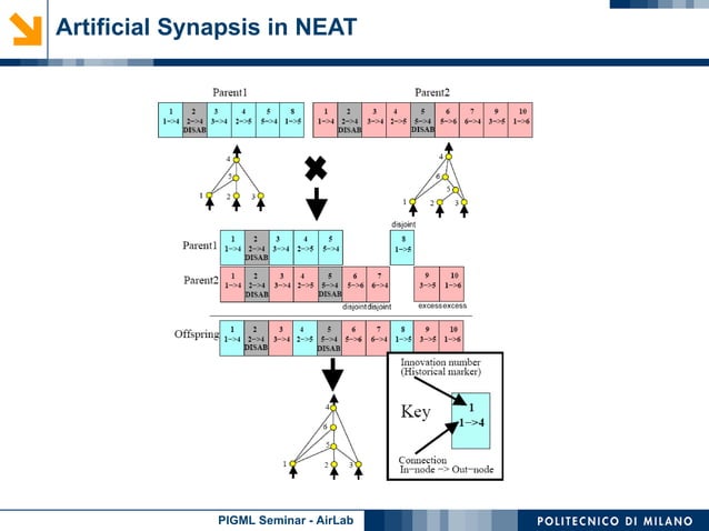 Evolving Neural Networks Through Augmenting Topologies | PPT | Computer Networking | Computing