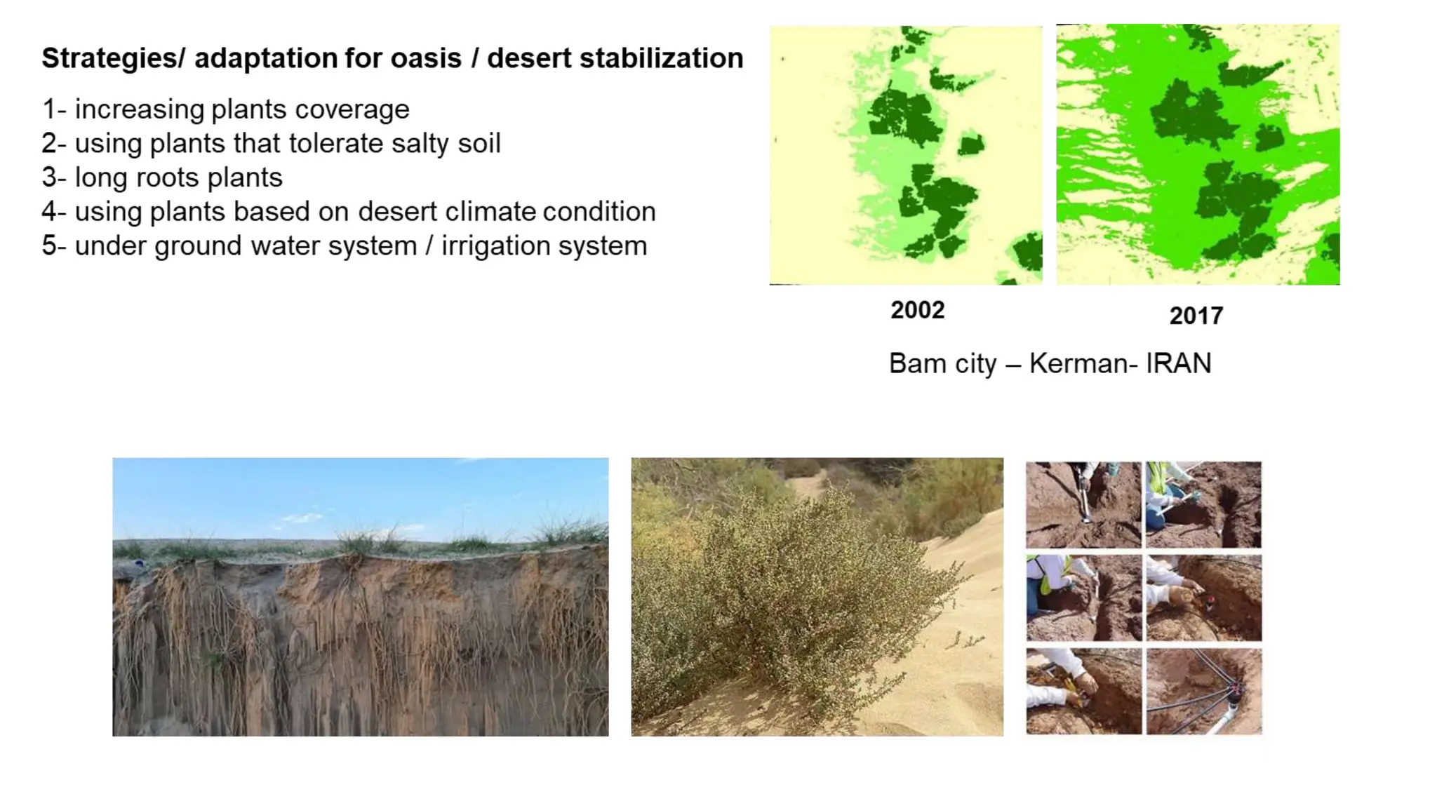 Evolving Environmental change related to landscape.pptx