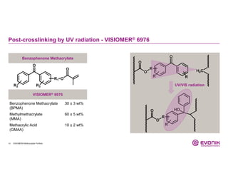 Evonik Overview Visiomer Specialty Methacrylates.pdf