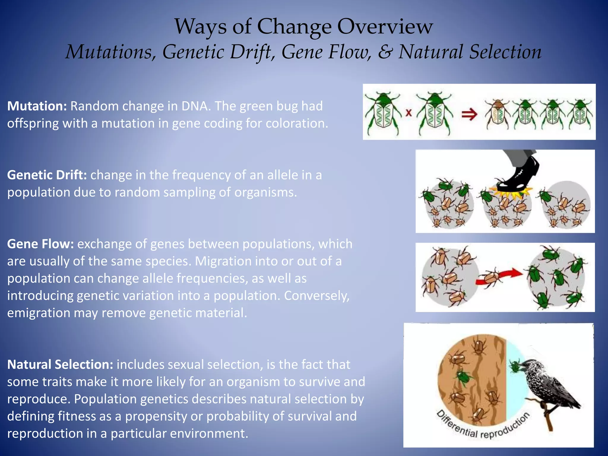 Evidence of Evolution by Natural Selection - how basic evolutionary ...