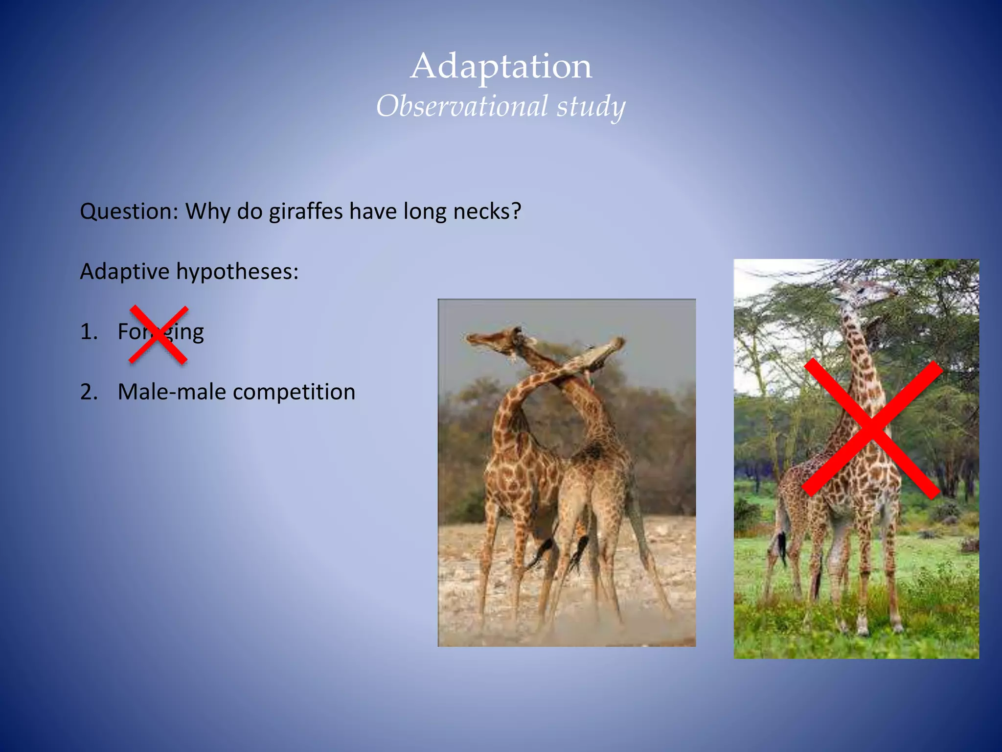 Evidence of Evolution by Natural Selection - how basic evolutionary ...