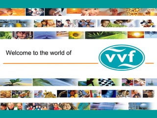 VVF Ltd- Global EVP | PPT