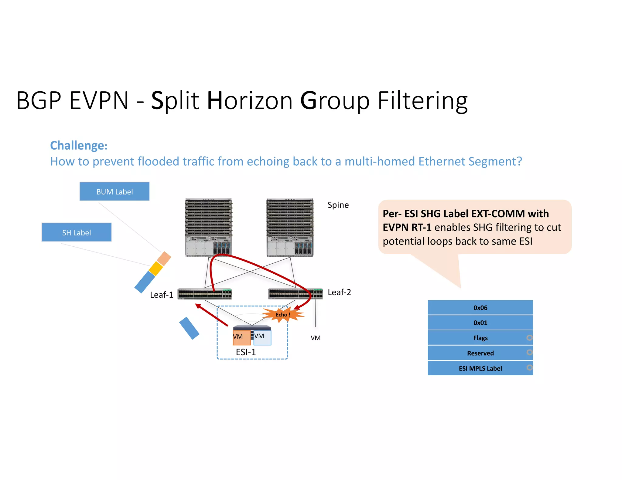 Designing Multi-tenant Data Centers Using EVPN | PDF | Computer Networking | Computing