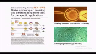 Human Cloning, ethical? | PPTX
